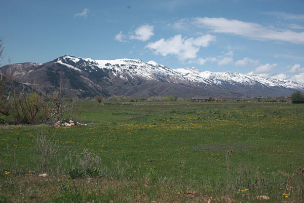 Spring in the Ogden Valley - Ogden Valley Land Trust