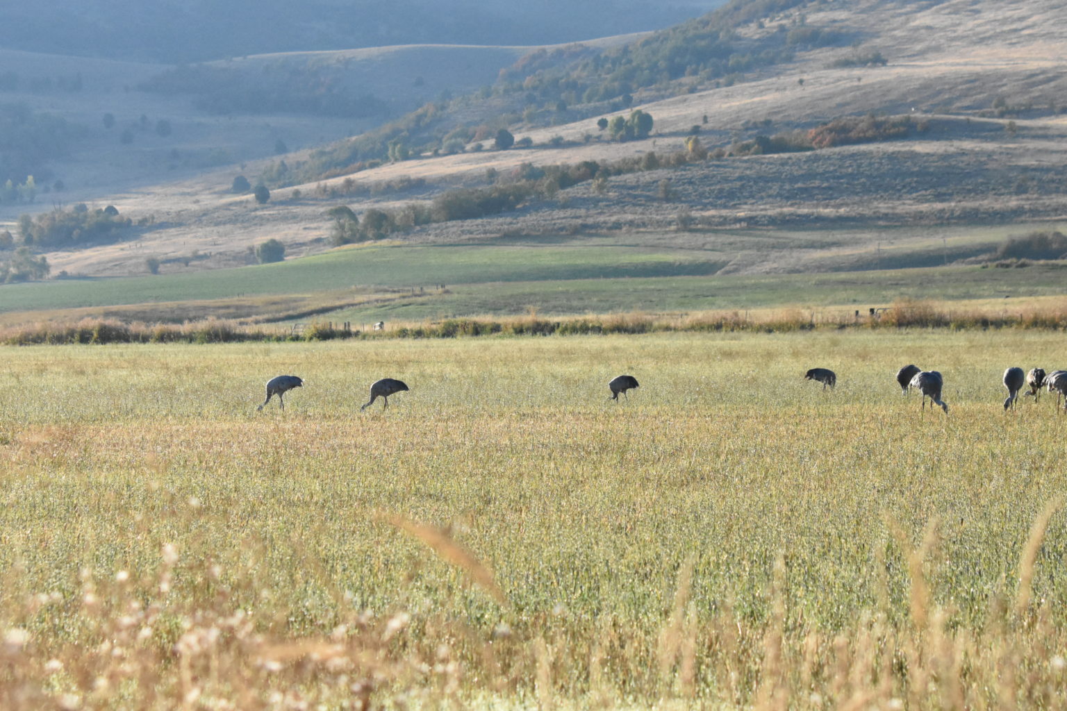 MONASTERY - Ogden Valley Land Trust